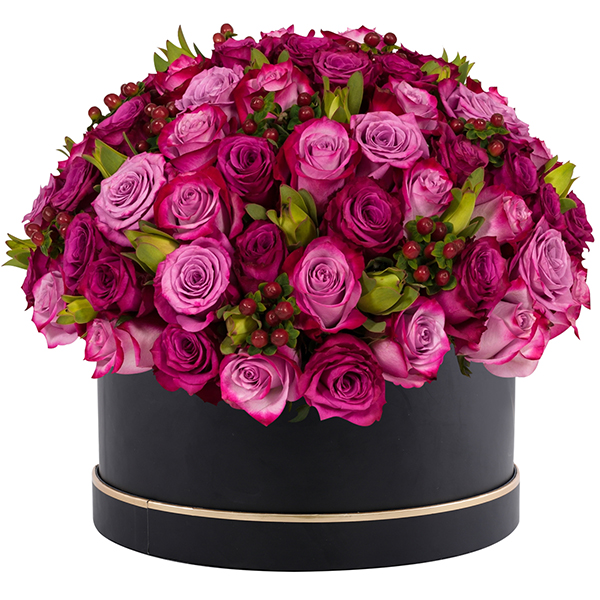 Buy Purple Roses Signature Box Online in Malaysia - Wenghoa