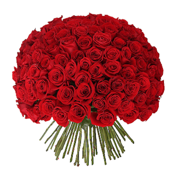Buy 100 Roses Bouquet Online | Online Flower Delivery in KL