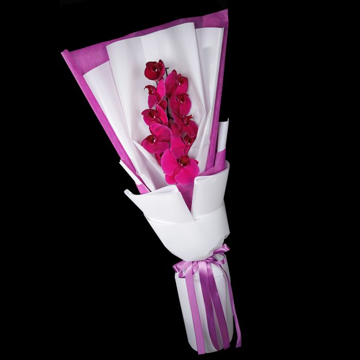 Single Stem Purple Phalaenopsis - Cut Flowers | Wenghoa