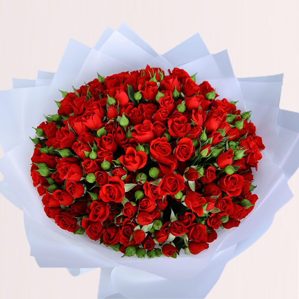 Captivating Red Bouquet | Black Tulip Flowers Wenghoa