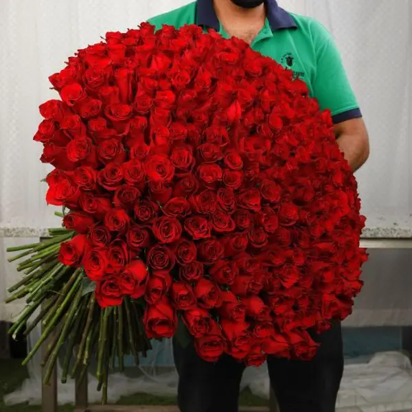 Buy 250 Red Rose Bouquet Online | Best Flower Shop in KL