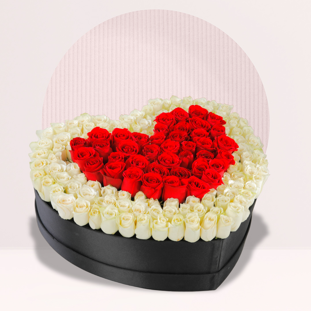 Magnificent Love of White and Red Roses