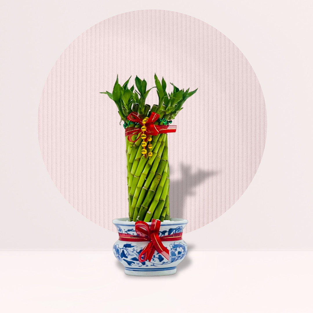 Elegant Bamboo Pot | Chinese New Near | Wenghoa KL