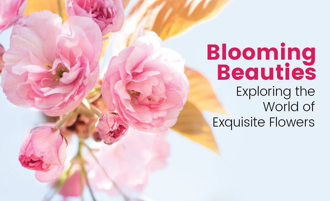 Learn About the World of Exquisite Flowers in Malaysia