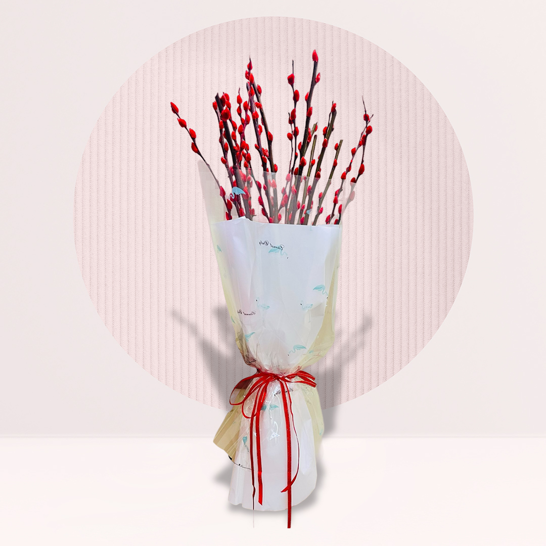 Buy Pussywillow Hand Bouquet Online | CNY Flower Delivery KL