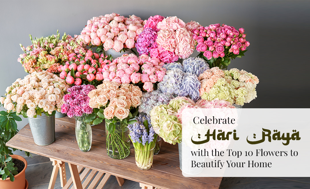 Top 10 Hari Raya Celebrations Flowers to Beautify Your Home