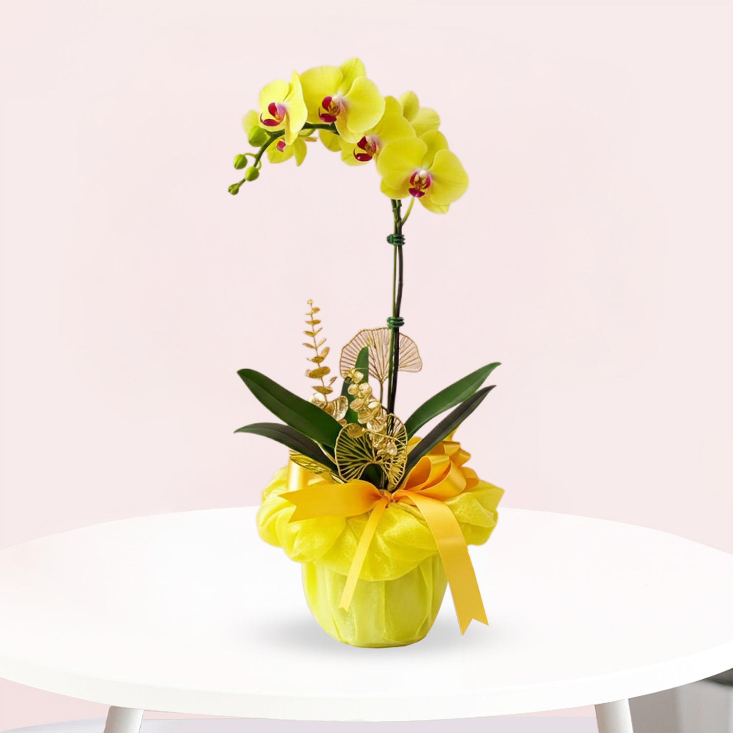Order Yellow Orchid Online | Best Florist in KL | Wenghoa