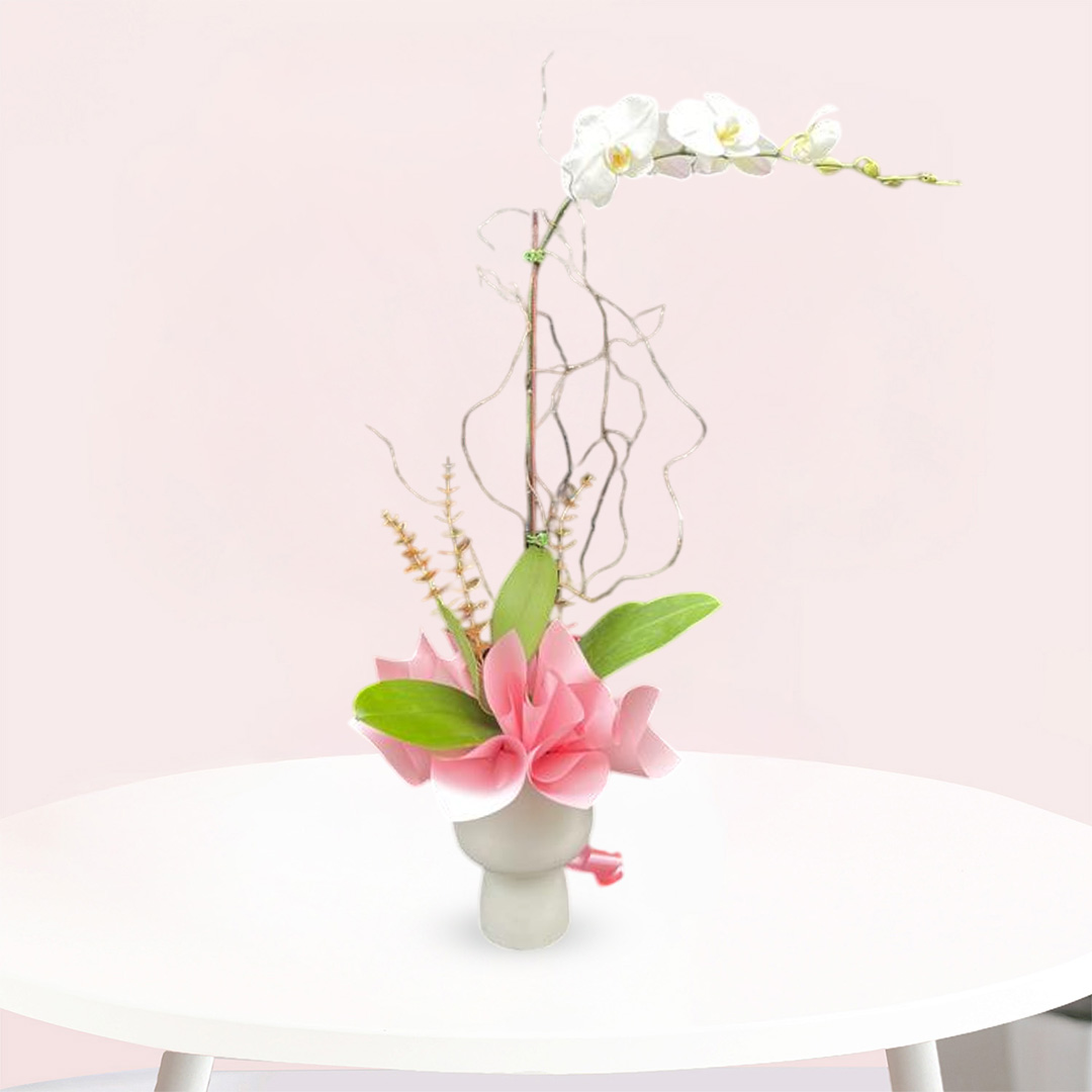 Buy Hari Raya Potted Orchid Arrangement Online | Wenghoa