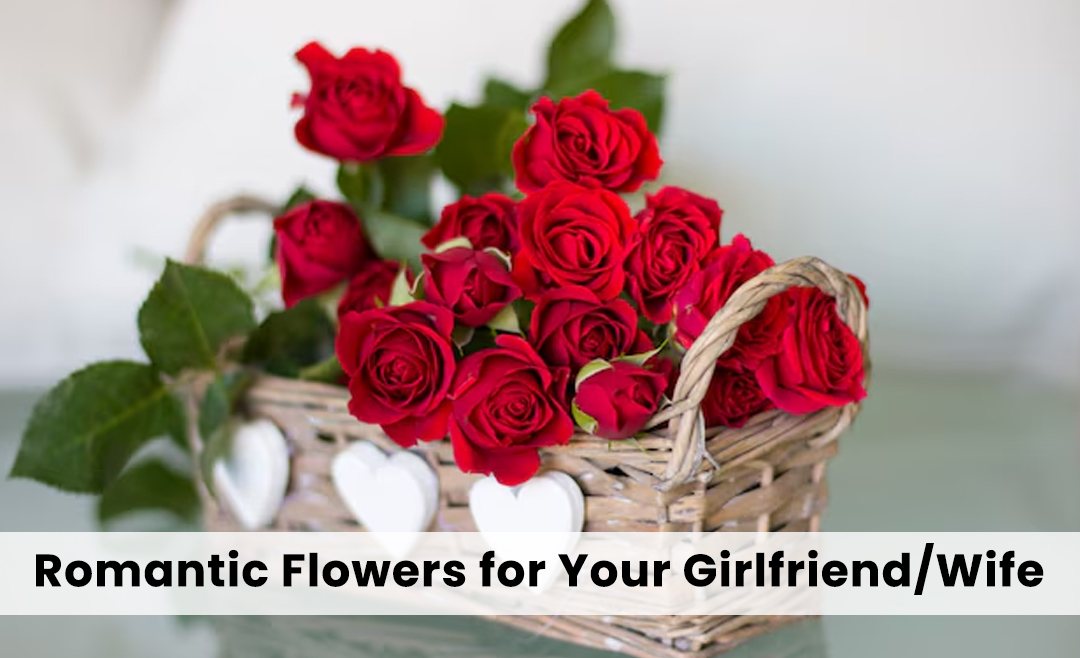 Top Romantic Flowers For Girlfriend or Wife - Know More