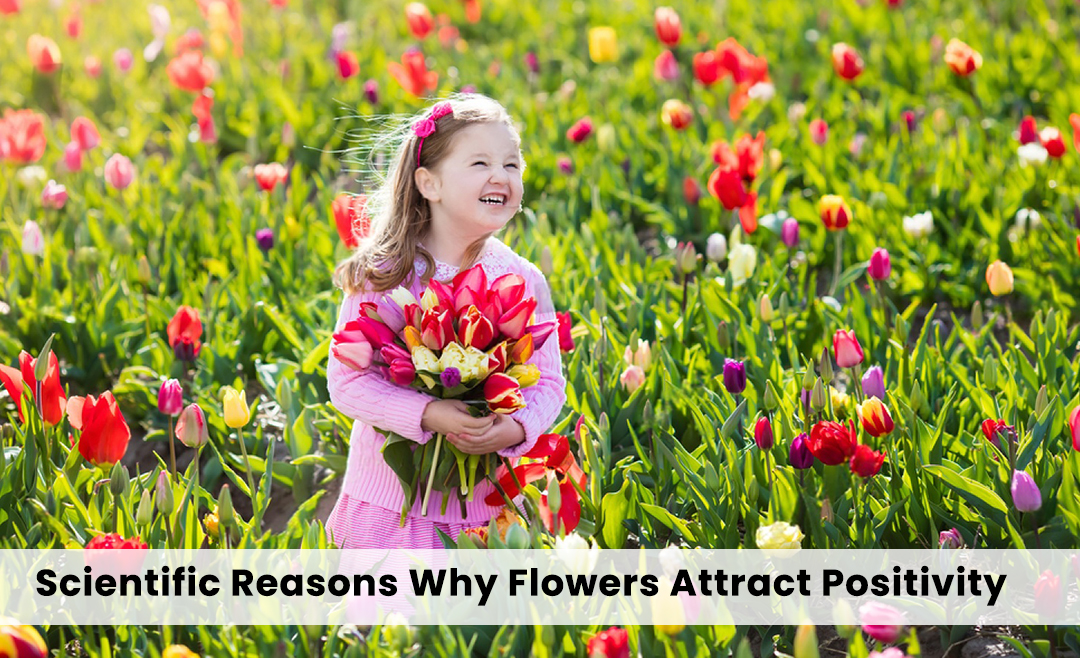 Flowers for Positivity: Send Flowers that Uplift Your Mood